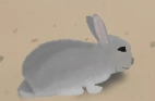 Desert Rabican | Ratera Project Wiki | Fandom