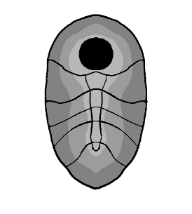 Monoculus | Ratera Project Wiki | Fandom