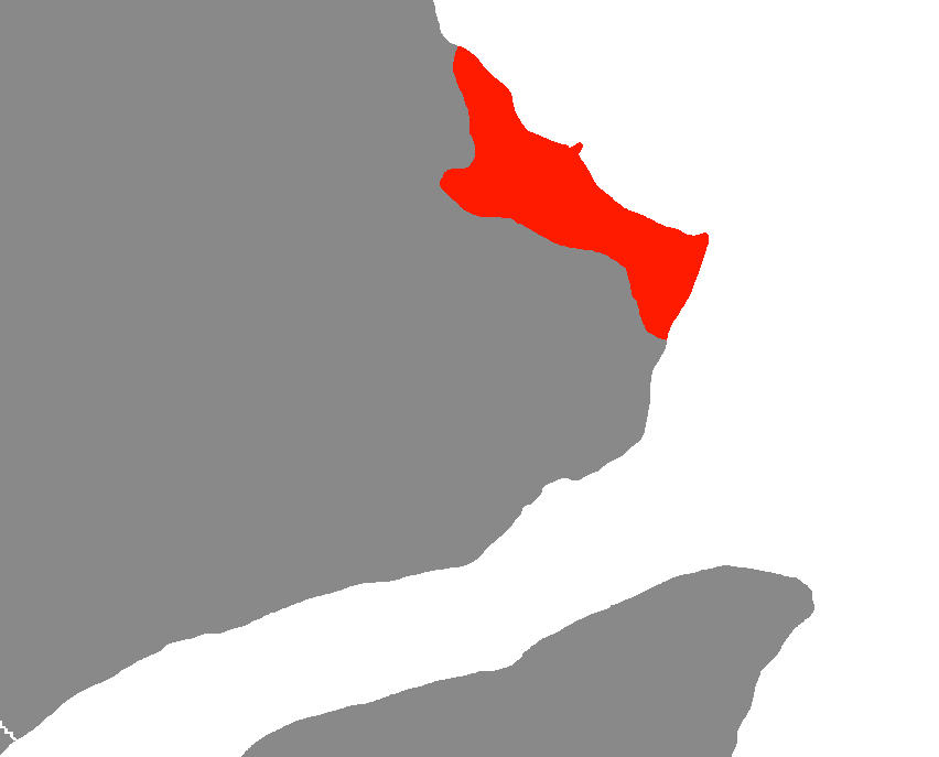 Temnotedro qingi | Ratera Project Wiki | Fandom