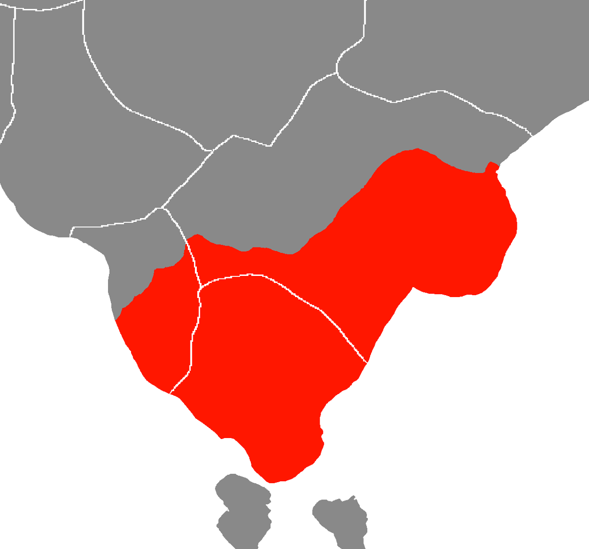 Gracile camen | Ratera Project Wiki | Fandom