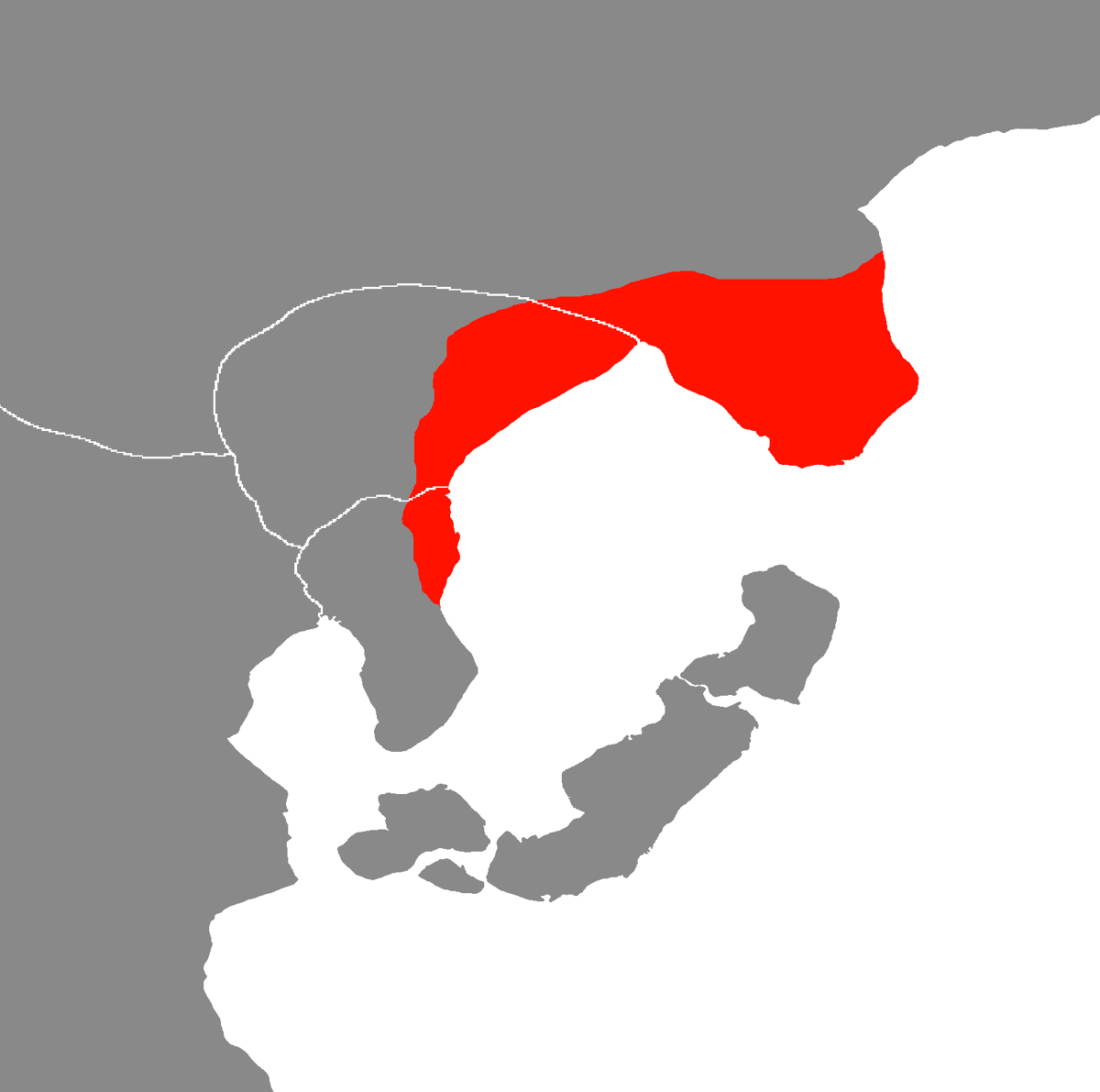 Microesronna | Ratera Project Wiki | Fandom