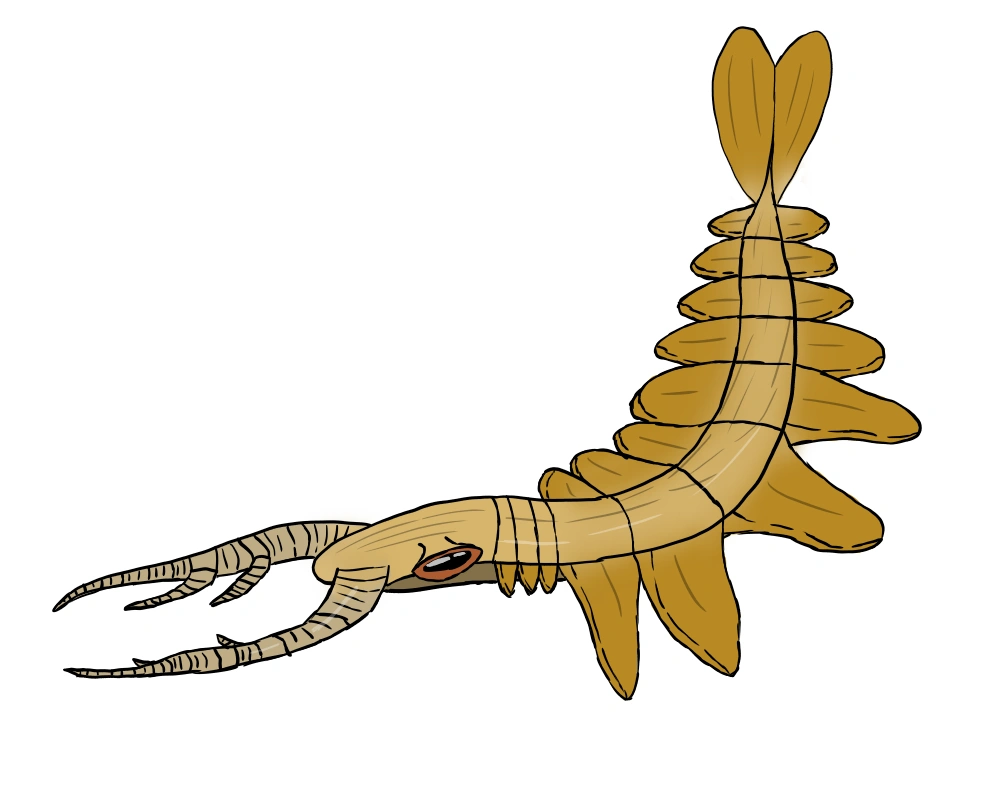 Abavaticaris | Ratera Project Wiki | Fandom