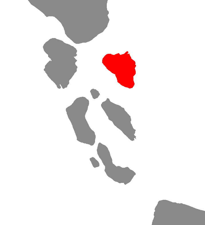 Igerou macropode | Ratera Project Wiki | Fandom