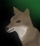 Prool | Ratera Project Wiki | Fandom