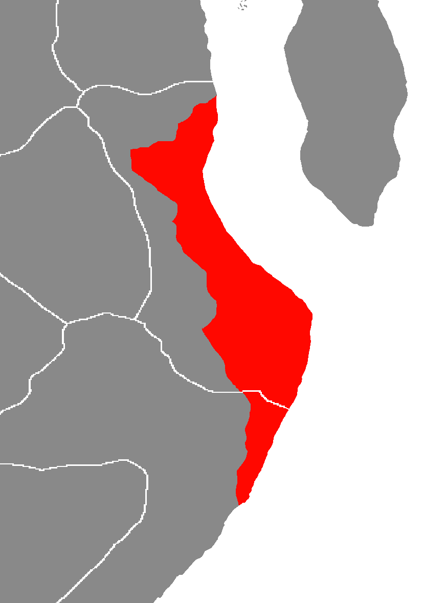 Southern Fairy Sero | Ratera Project Wiki | Fandom