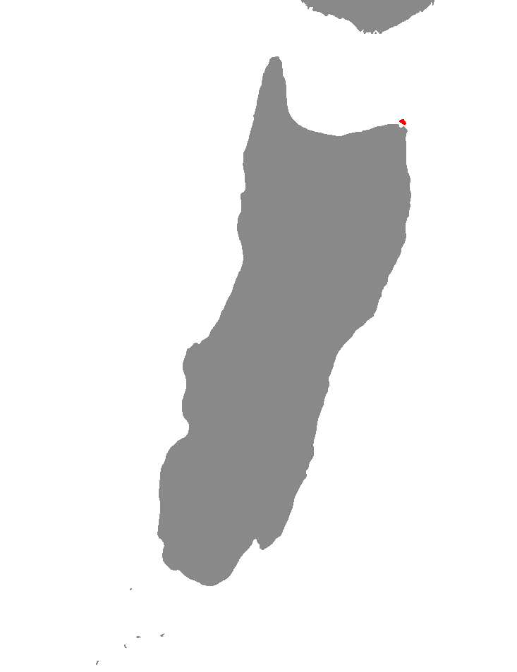 Kowe rata | Ratera Project Wiki | Fandom