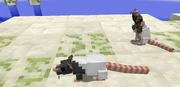 Rat | Rats Mod Wiki | Fandom