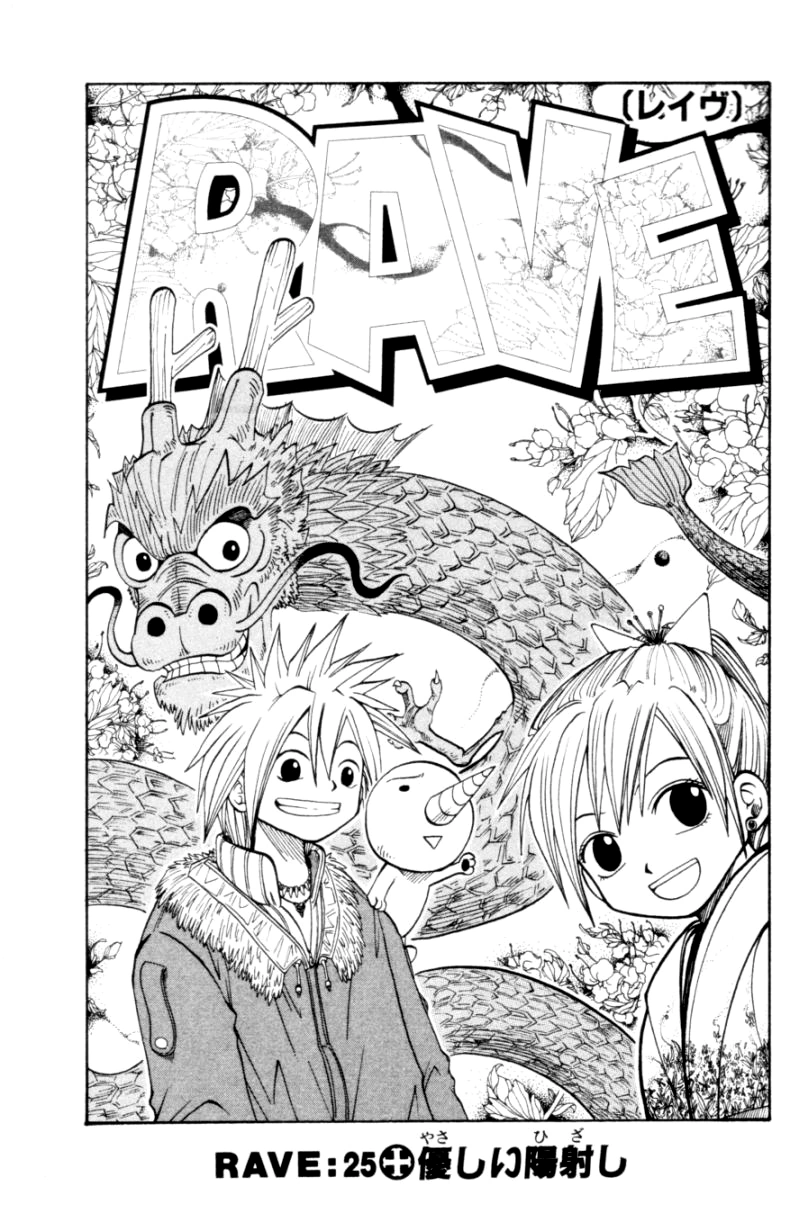 Chapter 25 | Rave Master Wiki | Fandom
