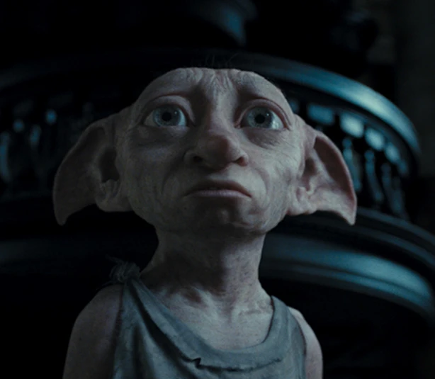 Dobby (HPPN) | Wiki Raven AzuNoctuli World | Fandom