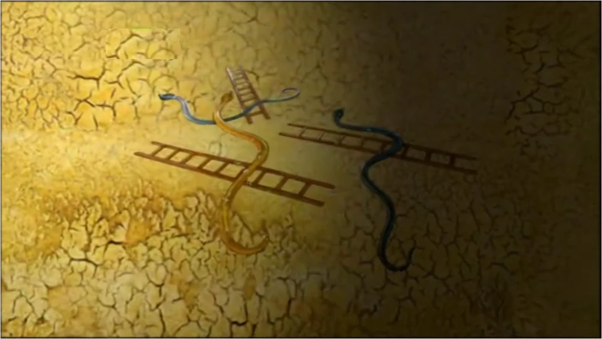 Snakes and Ladders | Raven (CBBC) Wiki | Fandom