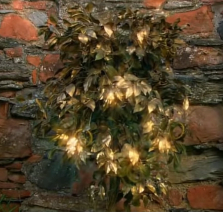 The Wisdom Tree | Raven (CBBC) Wiki | Fandom