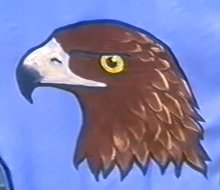 Category:Eagles | Raven (CBBC) Wiki | Fandom