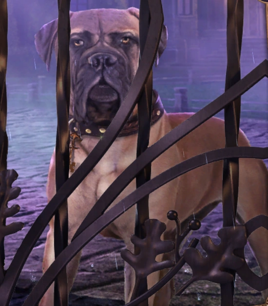 Admiral Snuggles | Ravenhearst Wiki | Fandom