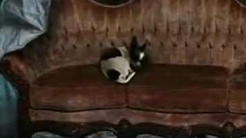 Pippi | Ravenhearst Wiki | Fandom