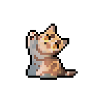 Tawnykit | Raven's Grove Wiki | Fandom