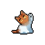 Springkit | Raven's Grove Wiki | Fandom