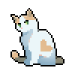 Slopeskip | Raven's Grove Wiki | Fandom