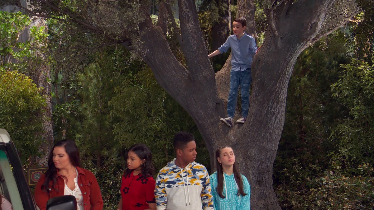 Raven About Bunk'd | Raven's Home Wiki | Fandom