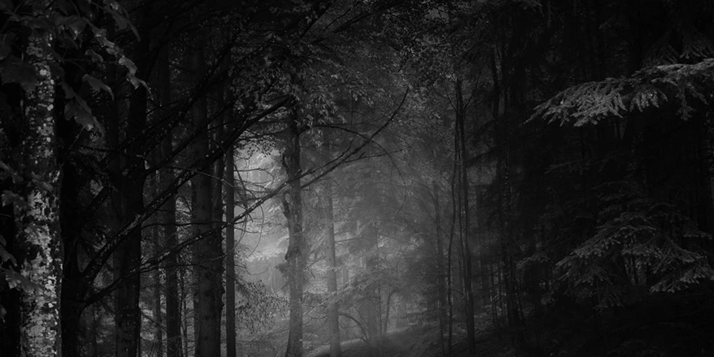 Shadowfell | Raven's Mark Wiki | Fandom