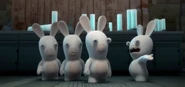Rabbid Quatrio | Raving Rabbids Wiki | Fandom