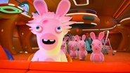 Mad Rabbid | Raving Rabbids Wiki | Fandom