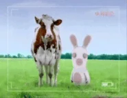 BWAAAH!! | Raving Rabbids Wiki | Fandom