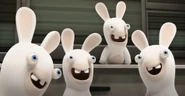 Rabbid Quatrio | Raving Rabbids Wiki | Fandom