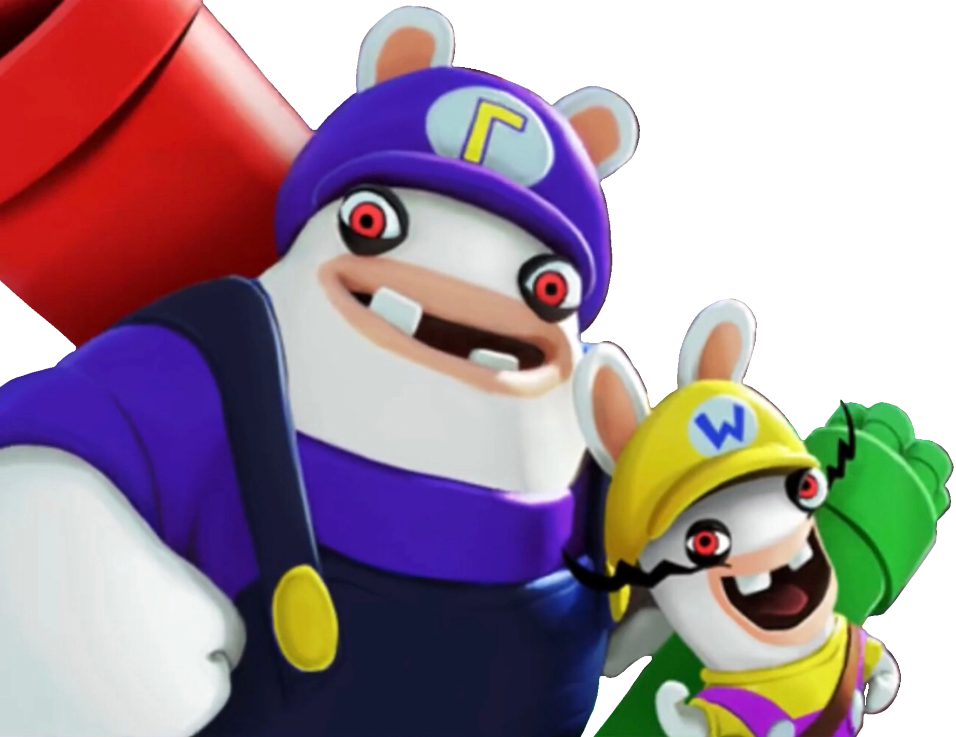 Bwario and Bwaluigi | Raving Rabbids Wiki | Fandom