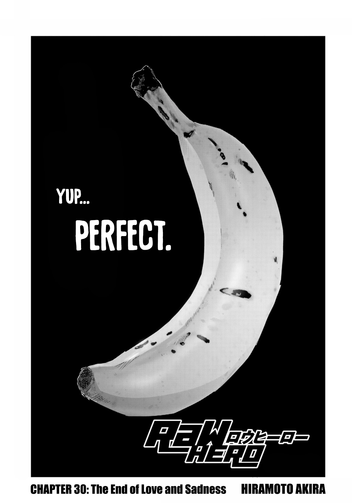 Chapter 30 | RaW Hero Wiki | Fandom