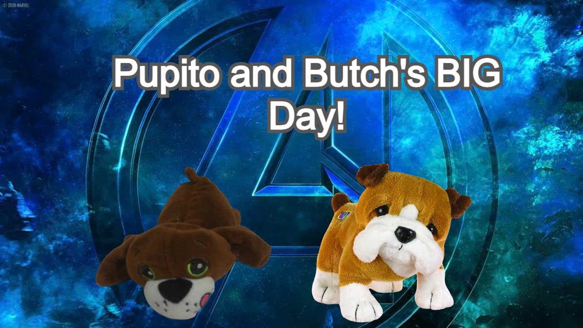 Pupito and Butch's BIG Day! | RAWs Vegas - Official Wiki | Fandom