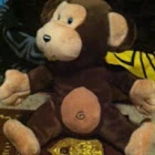 Monkey Bunky | RAWs Vegas - Official Wiki | Fandom