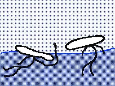 guessing game | Raxdflipnote Wiki | Fandom