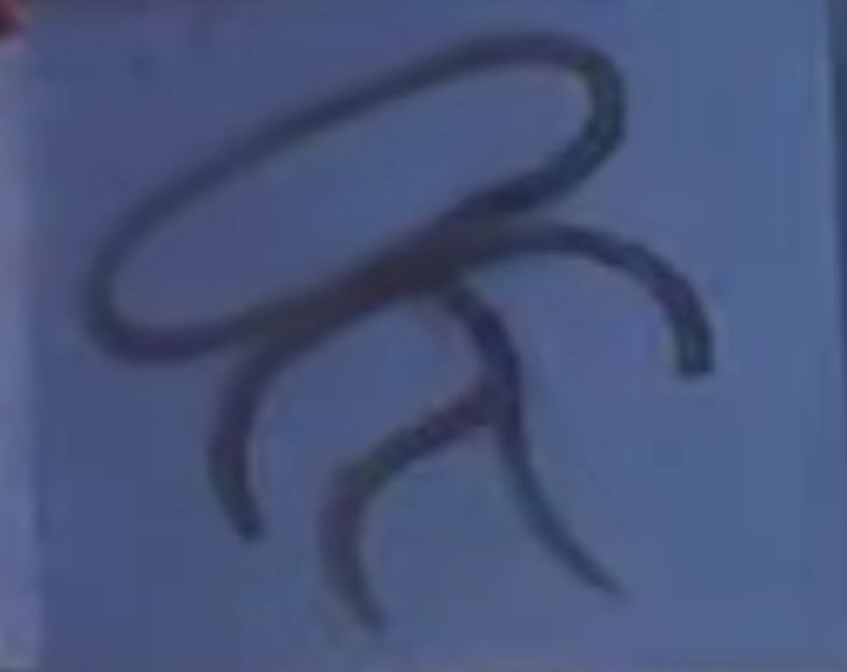 Bobby Blue | Raxdflipnote Wiki | Fandom
