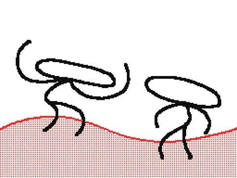 what time is it? | Raxdflipnote Wiki | Fandom