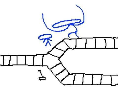 trolley problem 3 | Raxdflipnote Wiki | Fandom