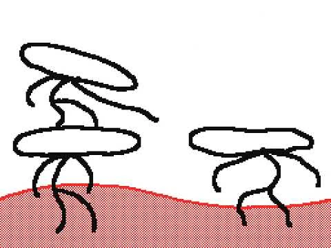 bad ping | Raxdflipnote Wiki | Fandom