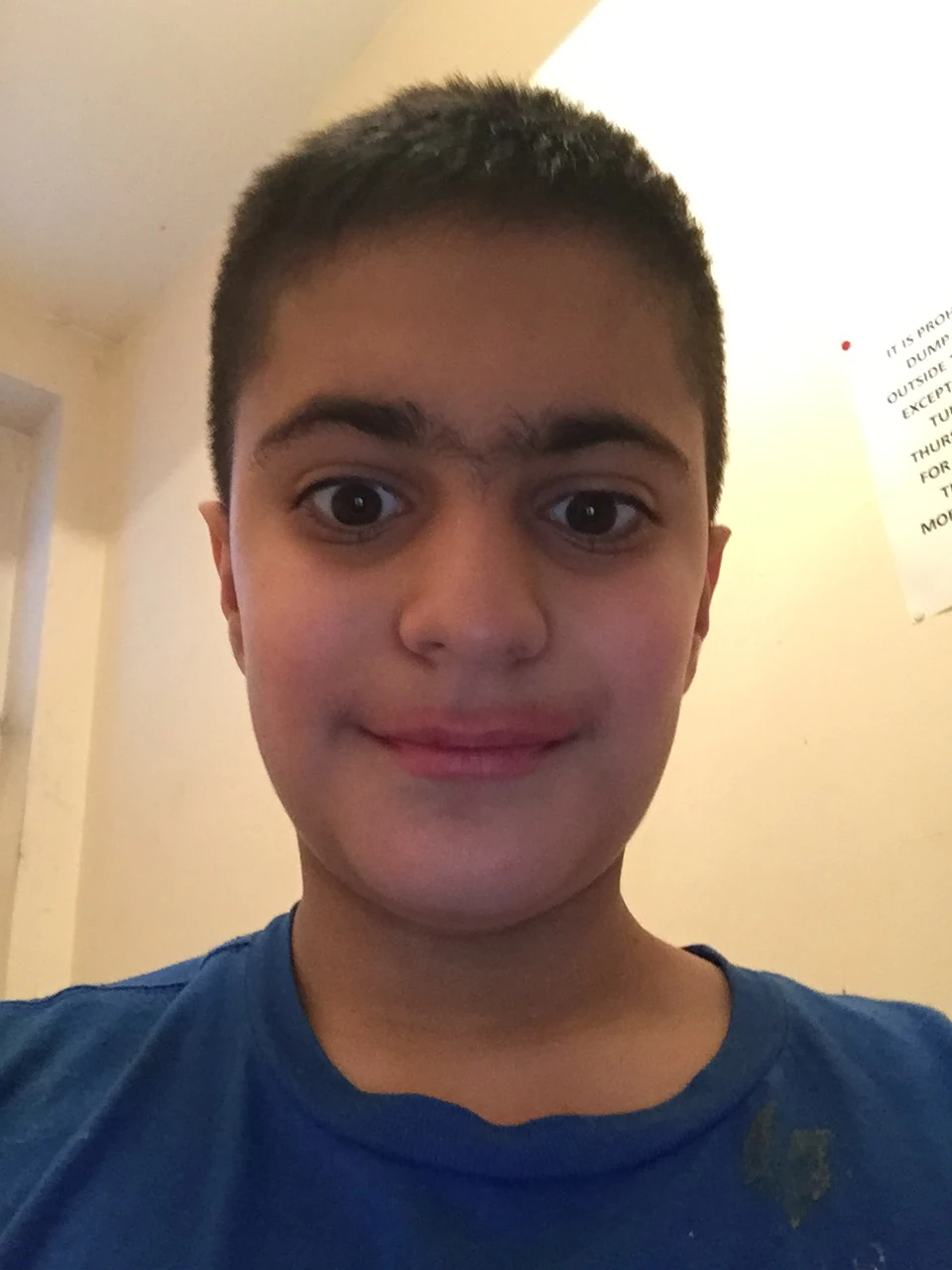 Hamoodi | Ray Dee Wiki | Fandom