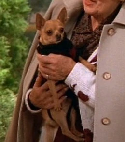 Maggie | Everybody Loves Raymond | Fandom