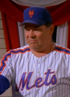 Ron Swoboda (character) | Everybody Loves Raymond | Fandom
