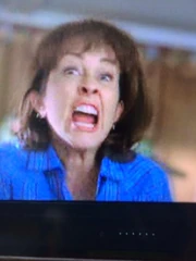 Debra Barone | Everybody Loves Raymond | Fandom