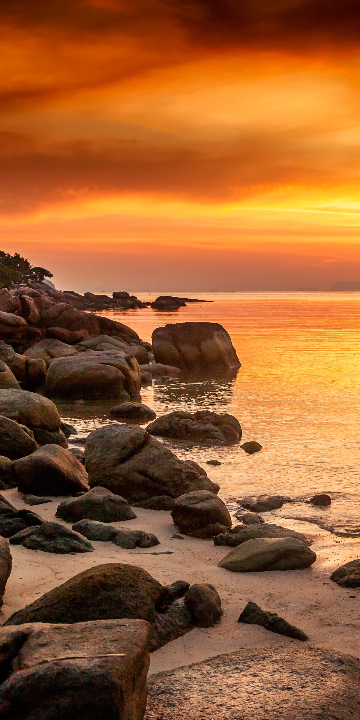 Rocky Beach - Official Razor Trail Survivors Wiki