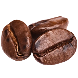 Coffee - Official Razor Trail Survivors Wiki