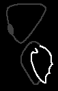 Vriskus | Databrawl Wiki | Fandom