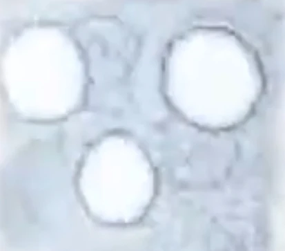 Bubble | Espacio Mining Wiki | Fandom