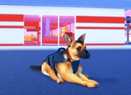 Dogs | Jailbreak Wiki | Fandom