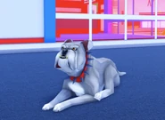 Dogs | Jailbreak Wiki | Fandom