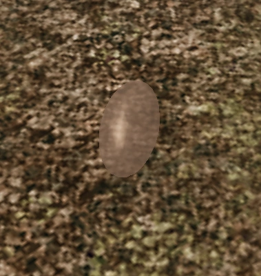 Candied Seed | Official ROBLOX Handyman Wiki | Fandom