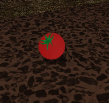 Tomato | Official ROBLOX Handyman Wiki | Fandom
