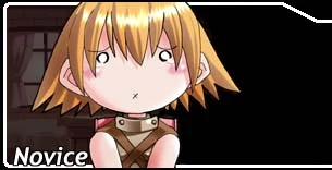 Novice | Ragnarok Battle Offline Wiki | Fandom