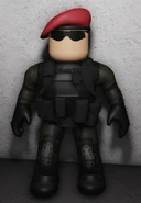 Chaos Insurgency | RBreach Wiki | Fandom